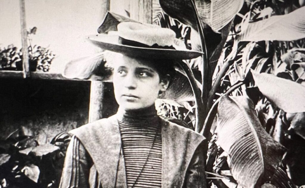 Lise Meitner, la scienziata che spiegò la fissione nucleare e la sua ...